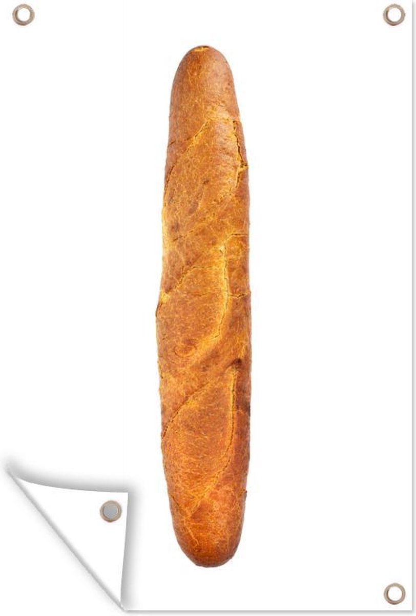 Muurdecoratie Stokbrood op witte achtergrond - 120x180 cm - Tuinposter | bol.com