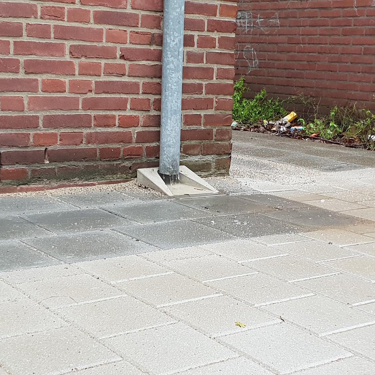 HA Steen recht grijs | bol.com