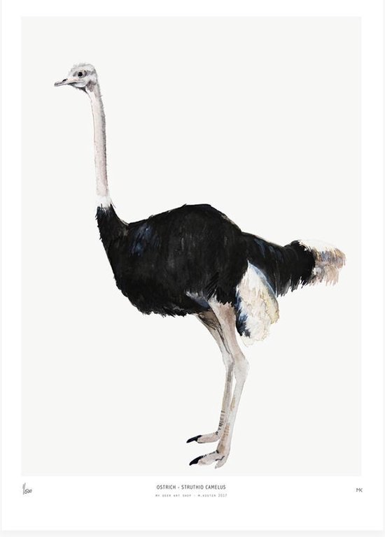 My Deer Art Shop Poster - Ostrich - 70 X 50 Cm - Zwart | bol.com