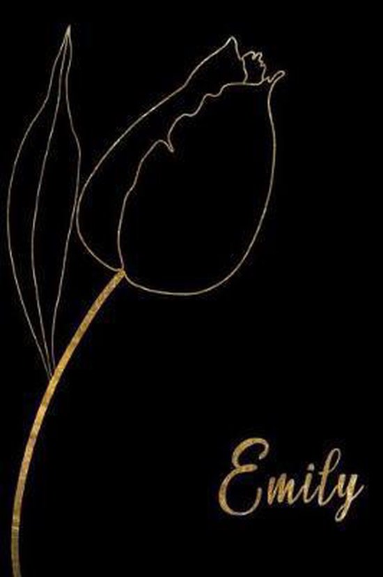 Emily, Fancy Names Press | 9781096508618 | Boeken | bol.com