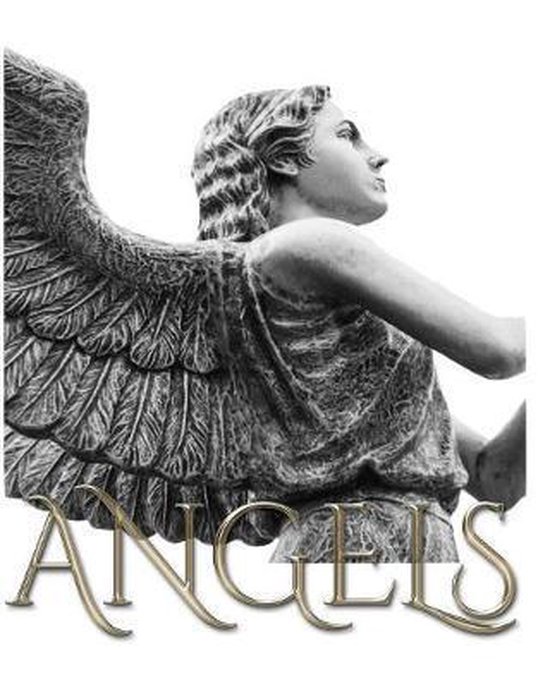 Angel Journal, Michael Huhn | 9780464059486 | Boeken | bol