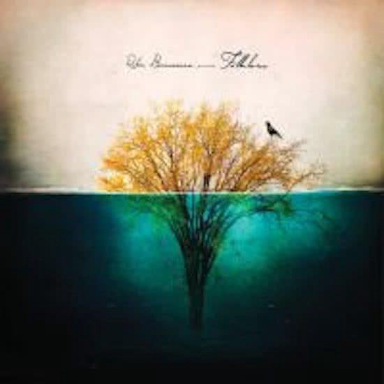 Folklore I: The Waving Days, Robin Borneman | CD (album) | Muziek | bol