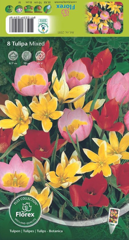Bloembol Tulp Wildtulp gemengd Mt. 8/9 10 St. | bol.com