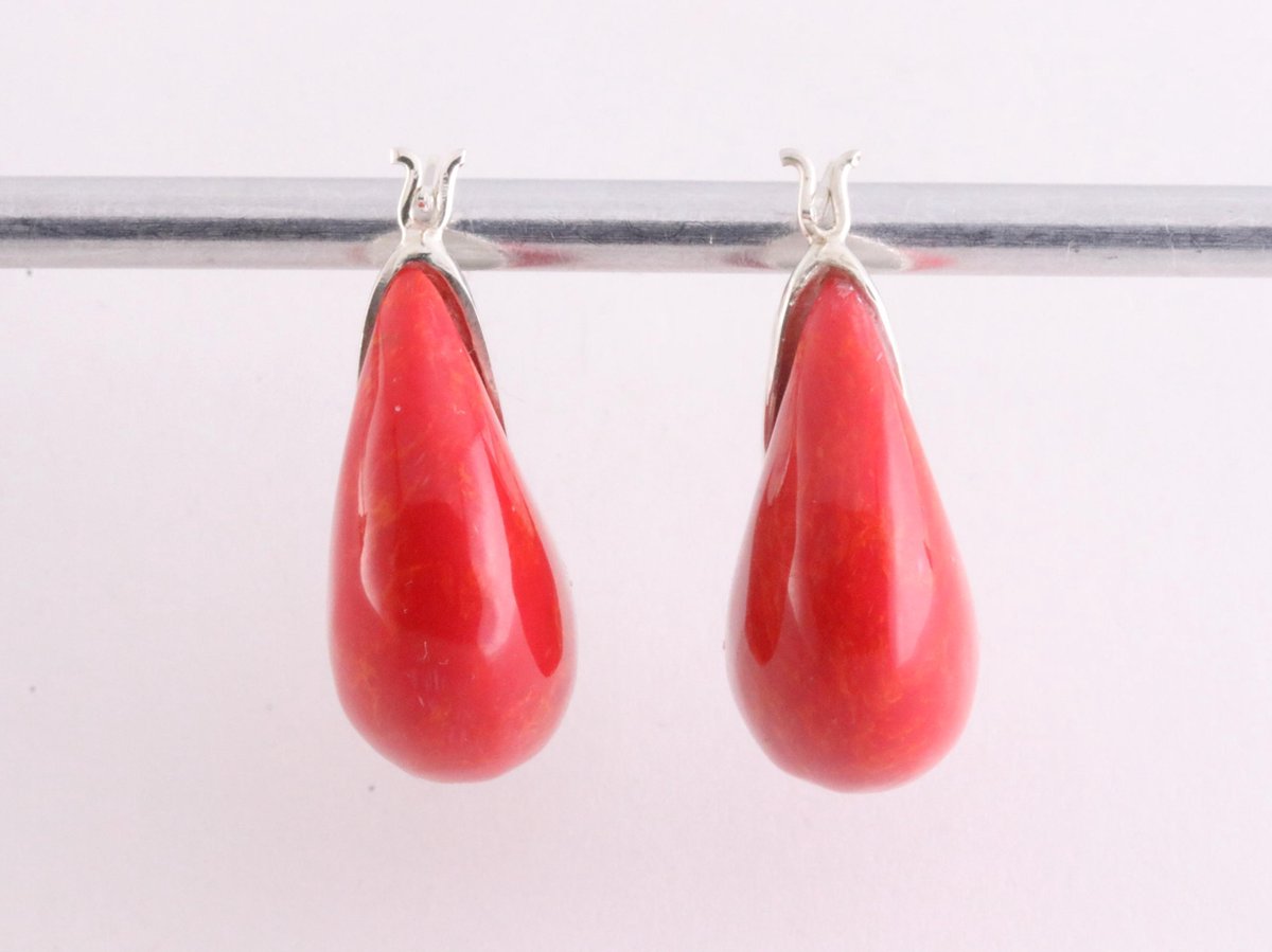 Fijne zilveren oorringen met rode koraal | bol.com
