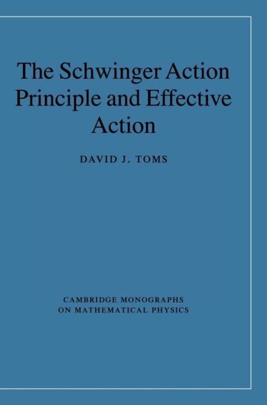 The Schwinger Action Principle and Effective Action | 9780521876766 ...