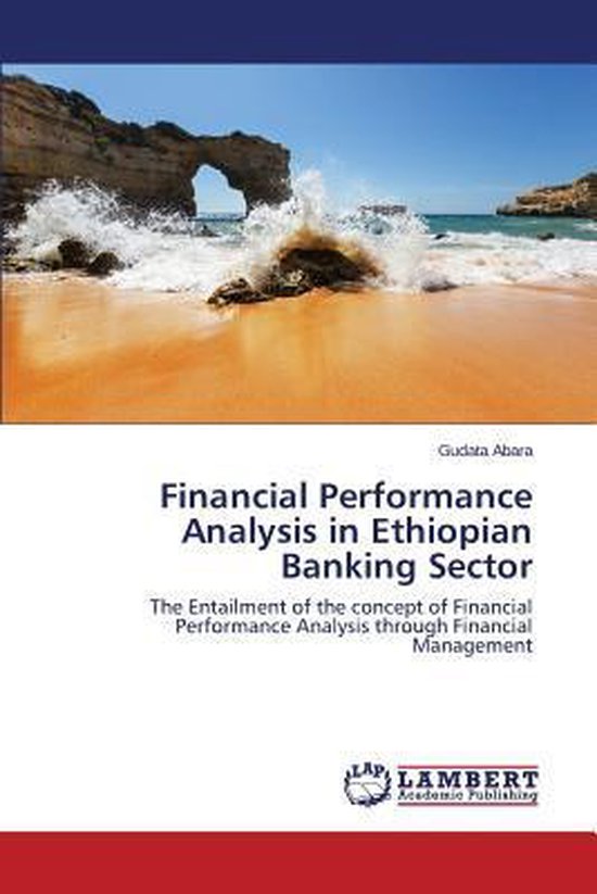 Financial Performance Analysis in Ethiopian Banking Sector ...