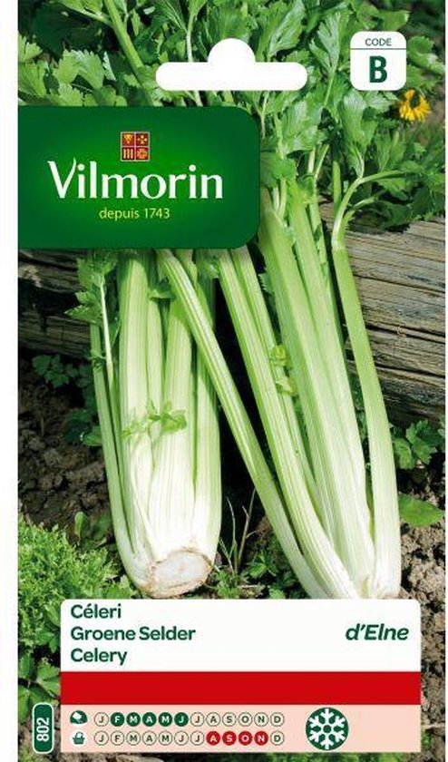 Groene Selder Van Elne (Pascal) | bol