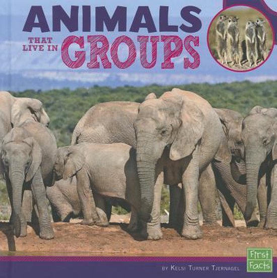 Animals That Live in Groups, Kelsi Turner Tjernagel | 9781429684132 ...