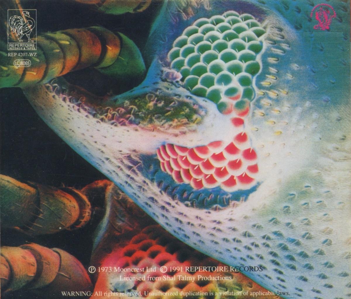 Machine That Cried, String Driven Thing | CD (album) | Muziek | bol