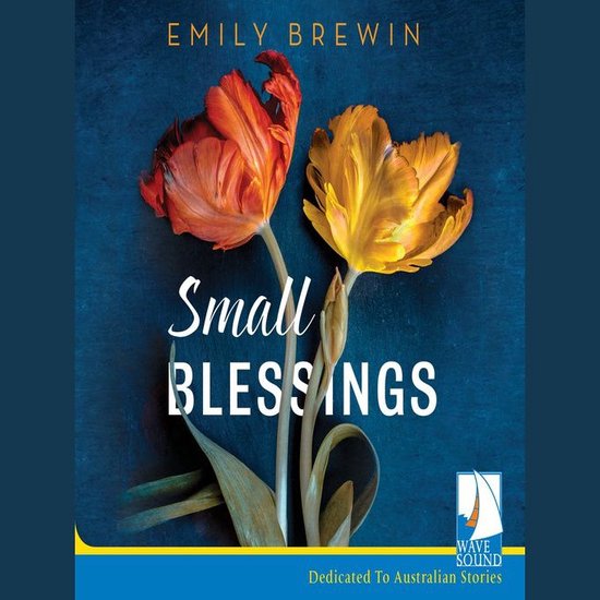 Small Blessings, Emily Brewin | 9781528874281 | Boeken | bol.com