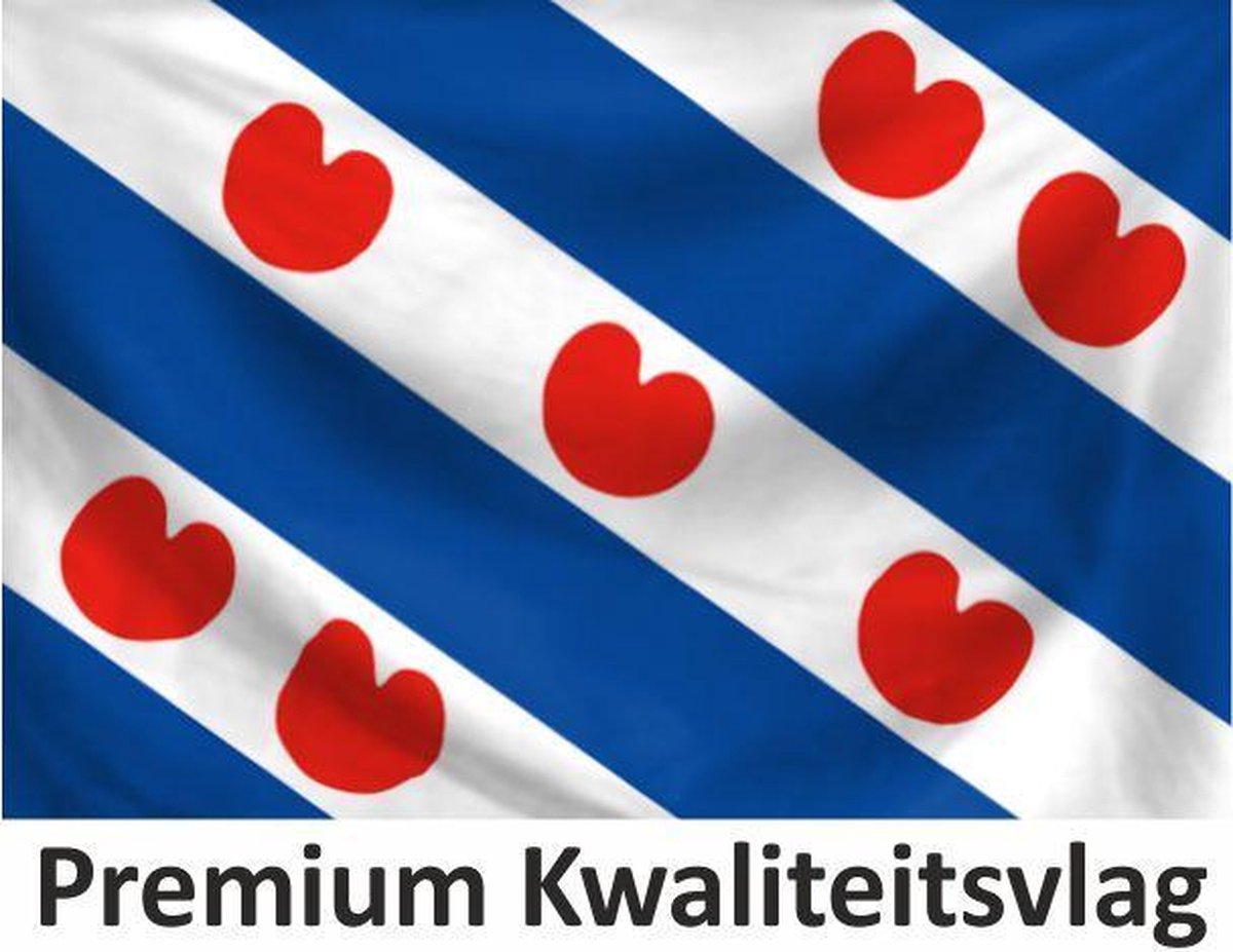 Friese Vlag Friesland 40x60cm Premium - Kwaliteitsvlag - Geschikt voor ...