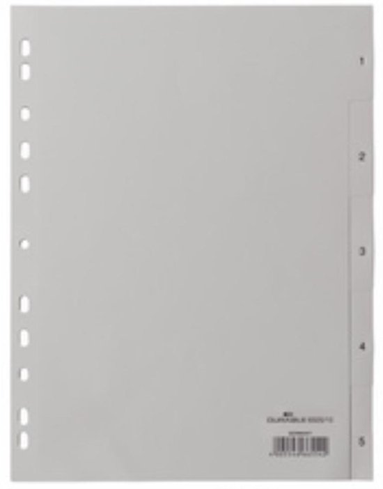 Durable 6512 Register DIN A4 1-12 Kunststof Grijs 12 tabbladen Bedrukte ...