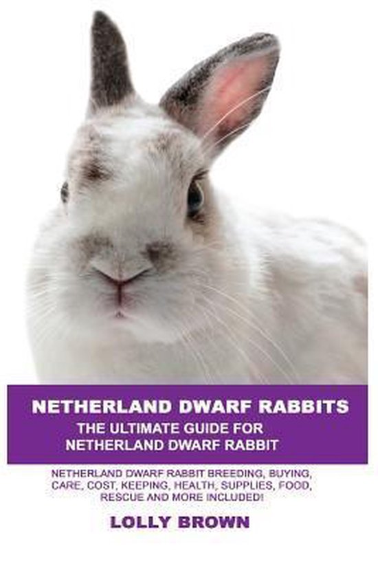 Netherland Dwarf Rabbits, Lolly Brown | 9781946286147 | Boeken | bol.com