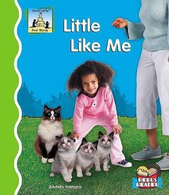 Little Like Me | 9781596793941 | Anders Hanson | Boeken | bol.com