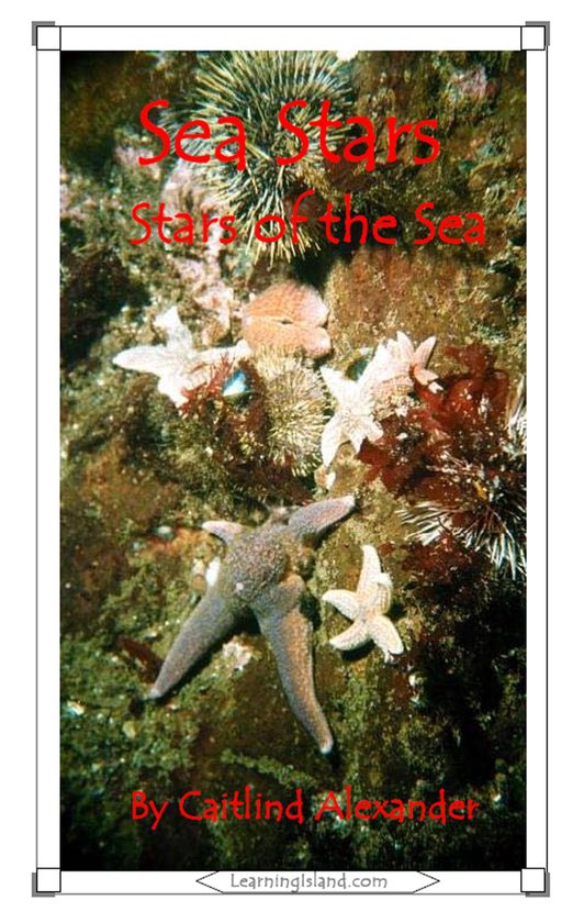 15-Minute Animals - Sea Stars: Stars of the Sea (ebook), Caitlind L ...