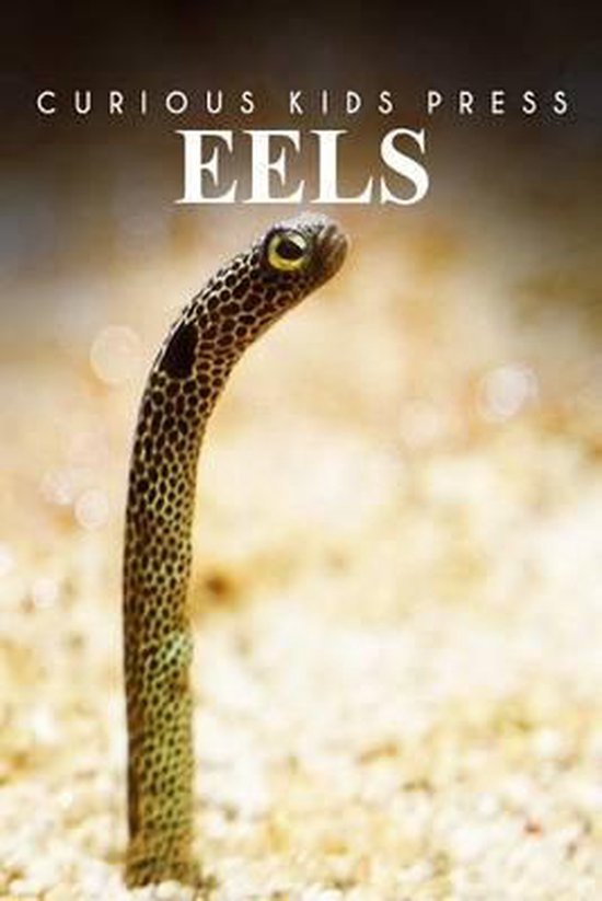 Eels - Curious Kids Press | 9781497517523 | Curious Kids Press | Boeken ...
