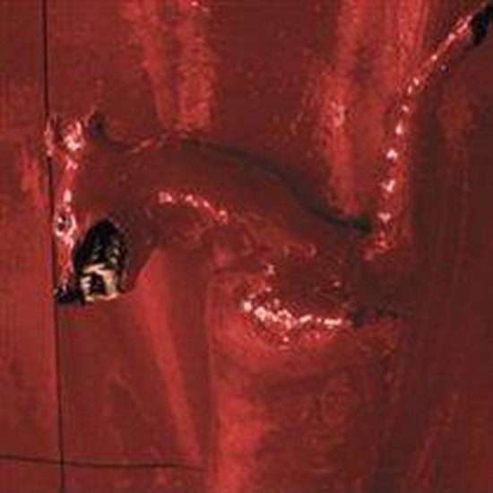 Red Score In Tile William Basinski Cd Album Muziek Bol