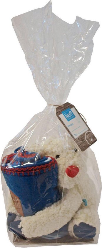 Lief! Beer Met Plaid Puppy/Kitten Unisex - 20x18x22 cm | bol