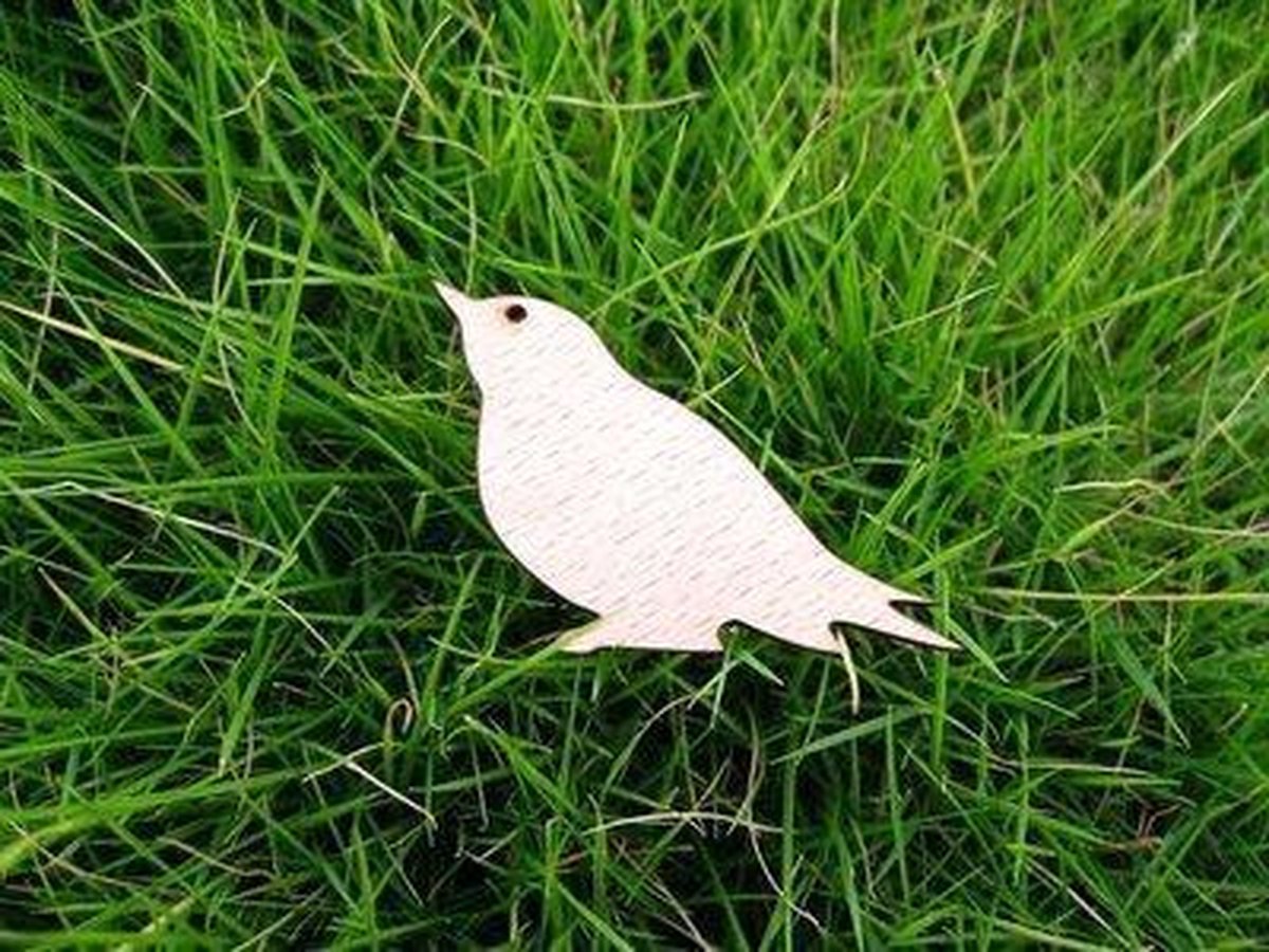 Houten Birdie Broche Jordan | bol.com