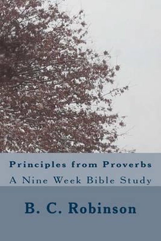 Principles from Proverbs | 9781492266105 | B C Robinson | Boeken | bol