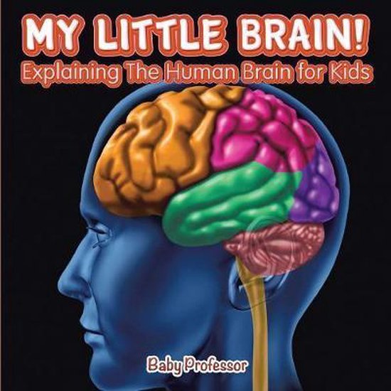 My Little Brain! - Explaining The Human Brain for Kids | 9781541901612 ...