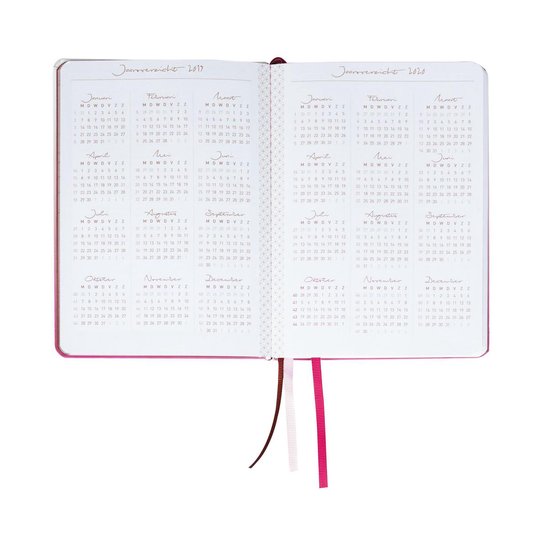 Pink ribbon agenda 2019 | bol