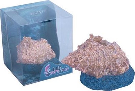H2show atlantis deco schelp | bol