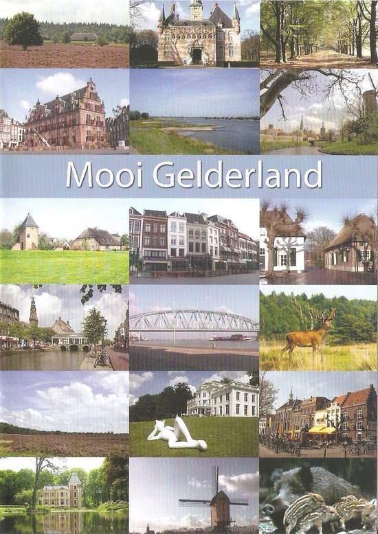 Mooi Gelderland (Dvd) | Dvd's | bol