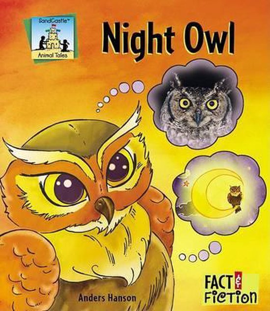 Night Owl | 9781596799530 | Anders Hanson | Boeken | bol