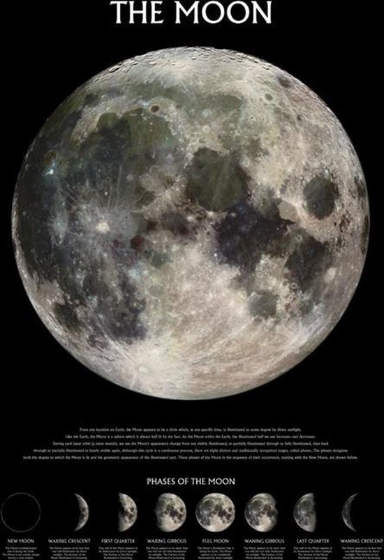 Moon maan phases poster 61x91.5cm. | bol.com
