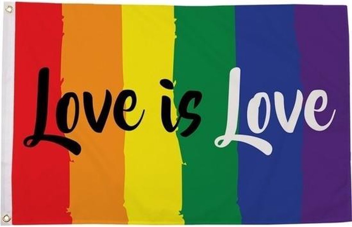 Regenboog LGBT vlag 90 x 150 cm Love is Love verticale strepen - Gay pride/parade... | bol.com