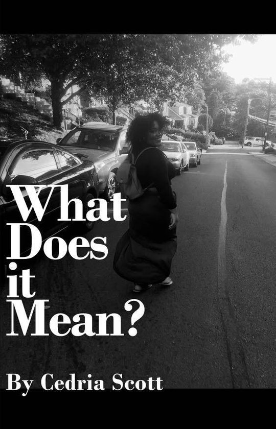 What Does It Mean ebook Cedia Scott 9781644268070 Boeken Bol