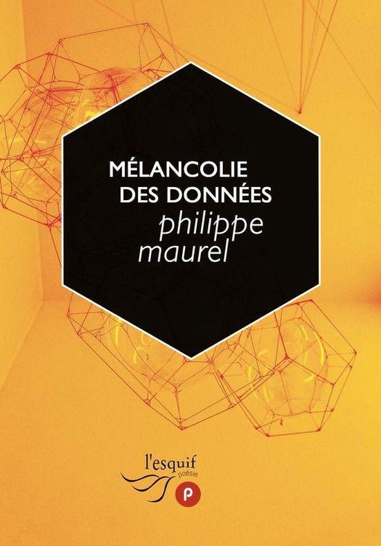 l'esquif - Mélancolie des données (ebook), Philippe Maurel | 9782371771871 | Boeken | bol.com