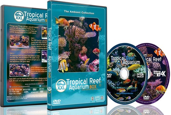 Tropisch rif aquarium XXL Box (Dvd) | Dvd's | bol.com