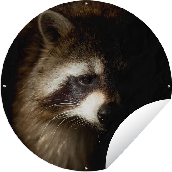 Tuincirkel Wasbeer - Wilde dieren - Zwart - 60x60 cm - Ronde Tuinposter ...