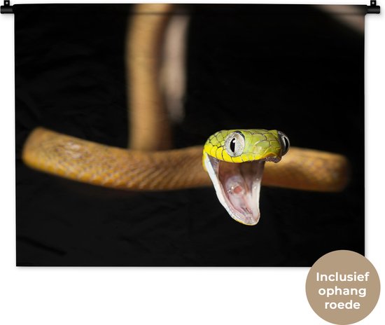 Wandkleed - Wanddoek - Slang - Dier - Zwart - 90x67.5 cm - Wandtapijt | bol