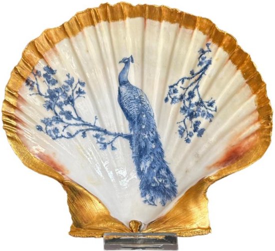 Sint-jacobsschelp - Pauw | bol