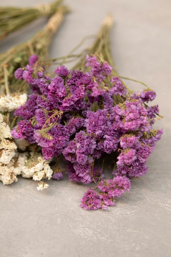 Couronne - Bundeltje gedroogde bloemen 'Statice' (Lilac) | bol