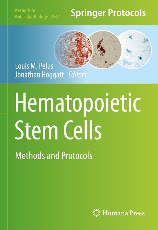 Methods in Molecular Biology 2567 - Hematopoietic Stem Cells (ebook) | 9781071626795 |... | bol