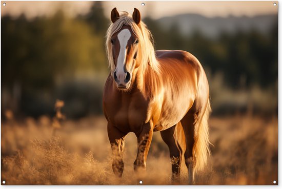 Muurdecoratie Paard - Bruin - Natuur - Weiland - Dier - 180x120 cm ...