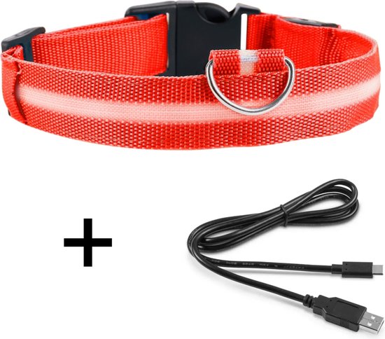 LED lichtgevende Halsband Hond - Sterk licht - Usb Oplaadbaar - Maat M ...