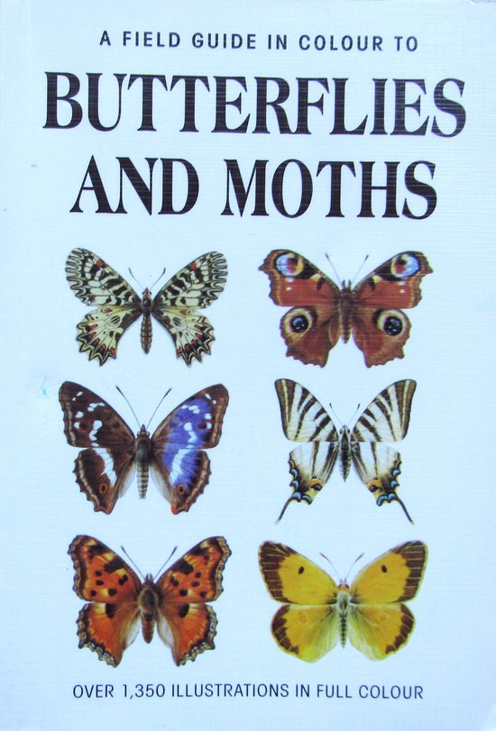 A Field Guide in Colour Butterflies and Moths, Ivo Novák ...