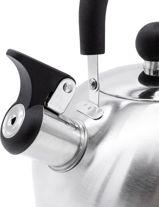 Roestvrijstalen waterketel, zilver, 2,5 liter, fluitketel met deksel en ...