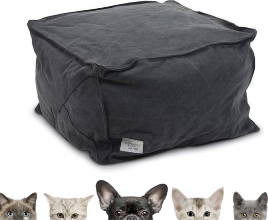 Designed by Lotte - Kattenmand - Hondenmand - Kattenkussen ...