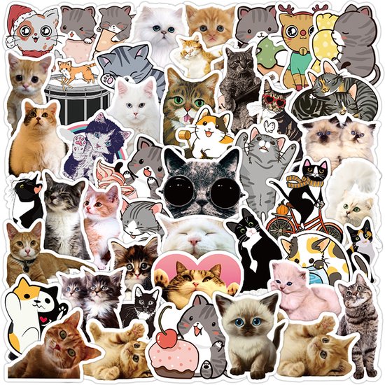 Katten Stickers - 50 stuks - Vinyl - Bullet Journal Stickers | bol