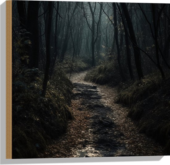 Hout - Bos - Bomen - Pad - Donker - Bladeren - 50x50 cm - 9 mm dik ...