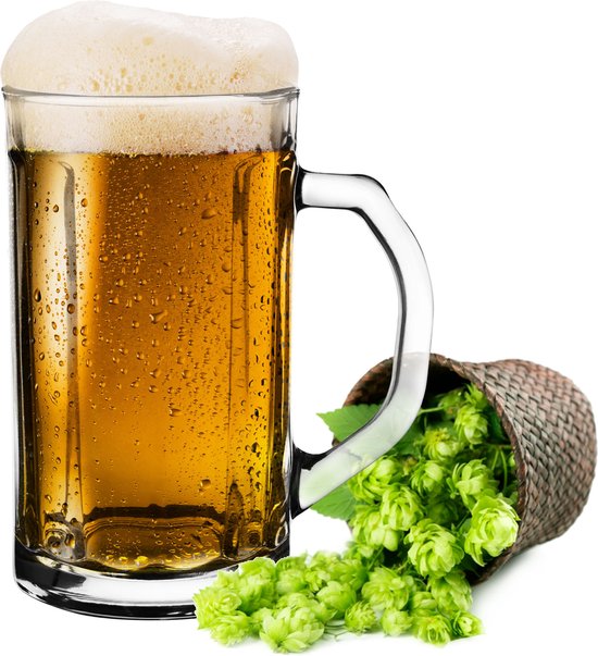 Glasmark Bierglazen - Bierpullen - transparant glas - 6x stuks - 500 ml - Oktoberfest | bol