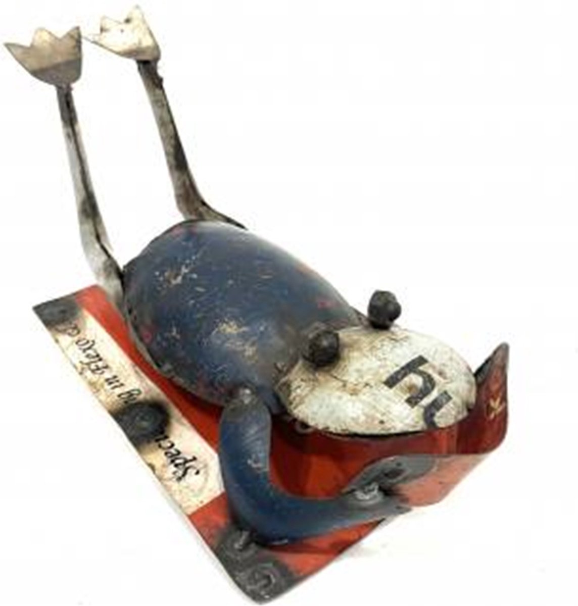 Frog sunbathing | bol