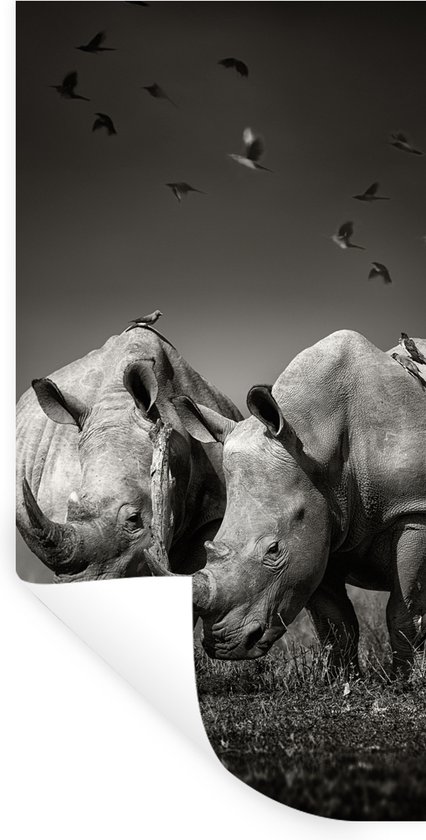 Muurstickers - Sticker Folie - Neushoorn - Vogel - Dieren - Landschap ...