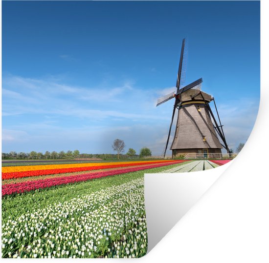 Muurstickers - Sticker Folie - Molen tussen de tulpen in Nederland ...